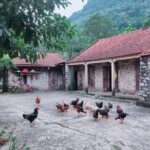 Private Boat and Biking Tour in Ninh Binh (Trang An - Hang Mua) - Final Thoughts