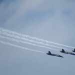 Private Boat and Dolphin Watching in Florida - Final Thoughts