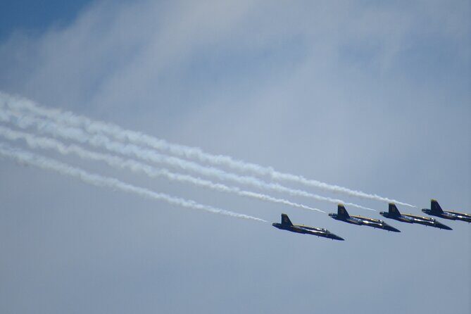 Private Boat and Dolphin Watching in Florida - Final Thoughts