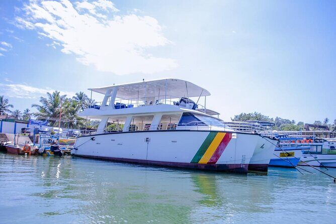 Private Boat Rental in the Mirissa Sea, Sri Lanka - What Travelers Are Saying