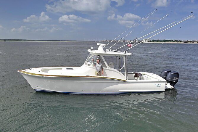 Private Boat Tours and dolphin encounters in Avalon NJ - What Makes This Tour Special?