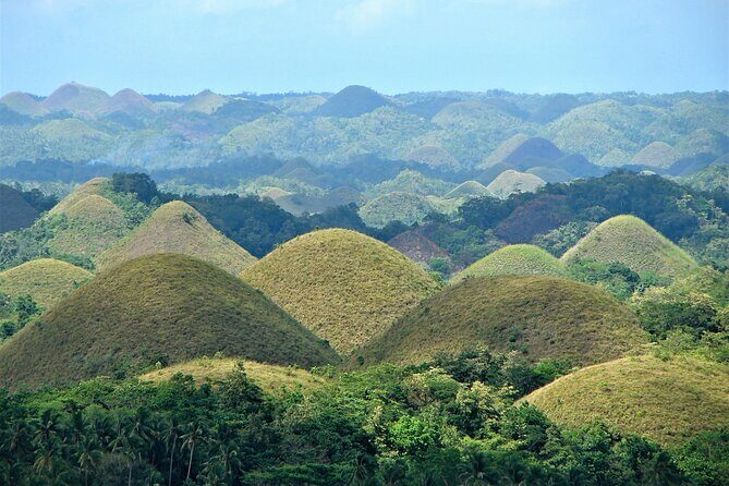 Private Bohol and Chocolate Hills with Loboc River Cruise - Why This Tour Excels