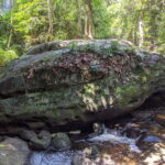 Private Bonteay Srei, Kbal Spean and Beng Mealear Tour - The Itinerary in Detail