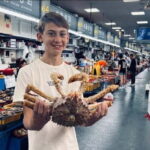 Private Busan Tour  Discover Top Sights with a Local Guide - Transportation and Comfort