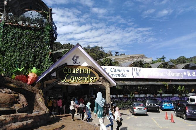 Private: Cameron Highlands 2 days 1 night Trip - An In-Depth Look at the Cameron Highlands Private Tour