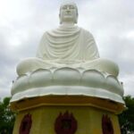 Private Car Airport Transfer to Nha Trang City - Authentic Voices: What Travelers Say