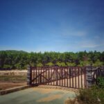 Private Car From Hoi An  My Son Sanctuary  Hoi An - The Journey Begins: From Hoi An to My Son Sanctuary