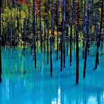 Private Car Tour of Furano and Biei in Hokkaido with Local Guide - Is This Tour Right for You?