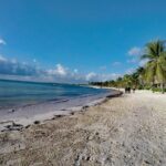 Private Cenote & Snorkeling Tour with Turtles in Akumal - Who Is This Tour Best Suited For?