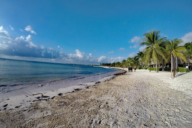 Private Cenote & Snorkeling Tour with Turtles in Akumal - Who Is This Tour Best Suited For?