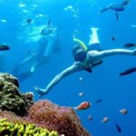 Private Charter boat to Angthong Marine Park - Discovering the Magic of Angthong Marine Park