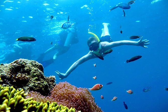 Private Charter boat to Angthong Marine Park - Discovering the Magic of Angthong Marine Park