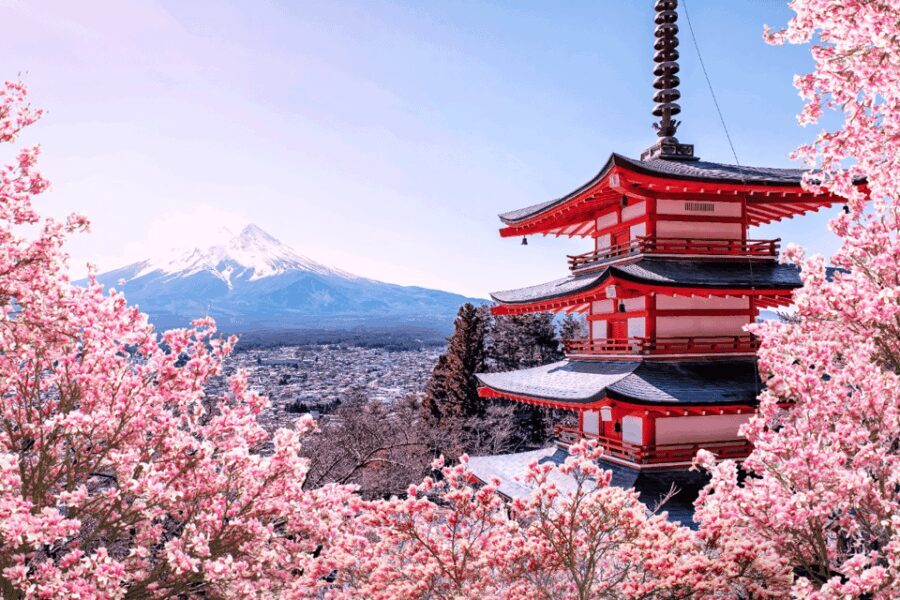 Private charter car one day trip for Mt fuji - Who Is This Tour Best For?