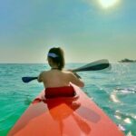 [PRIVATE CHARTER] SEA-KAYAKING along HALF-MOON BAY & SUNSET DRIFTING & DINNER - What You’ll Love About This Tour