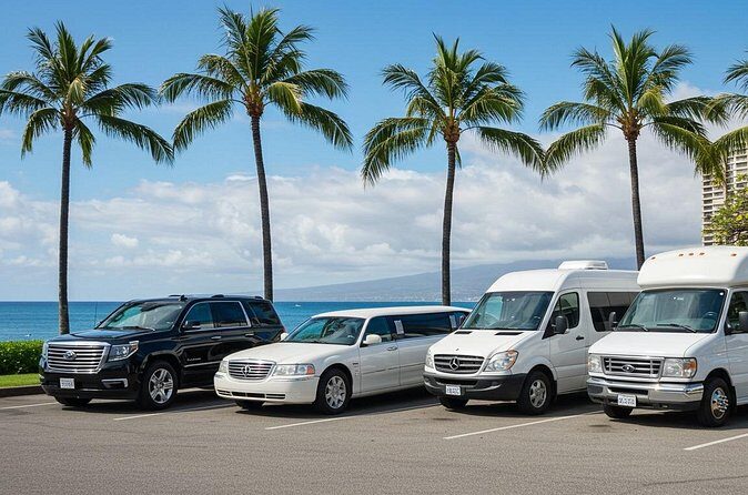 Private Charter Tour on Oahu - Who Should Consider This Service?