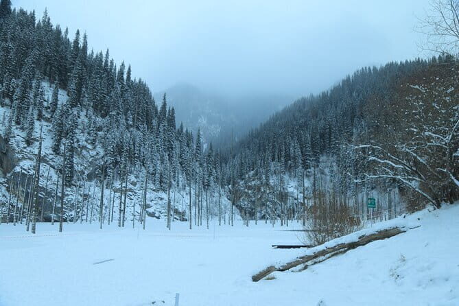 Private Charyn Canyon, Kolsai Lake with Optional Kaindy Lake tour - Final Thoughts