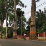 Private Chiang Mai Half-Day Bike Tour - Final Thoughts