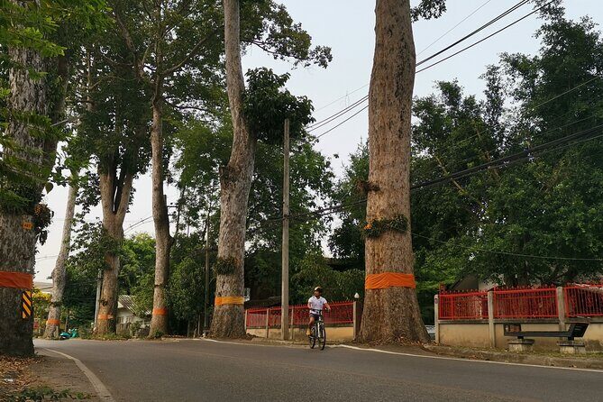 Private Chiang Mai Half-Day Bike Tour - Final Thoughts