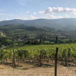 Private Chianti Wine Tasting from Florence, Half Day Experience - Value and Pricing Consideration