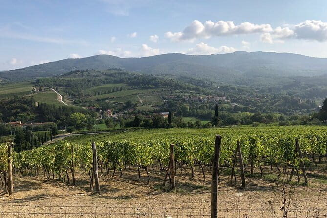 Private Chianti Wine Tasting from Florence, Half Day Experience - Value and Pricing Consideration