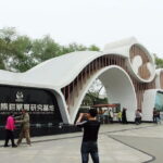 Private Chongqing Bullet Train Trip to Leshan Giant Buddha and Pandas in Chengdu - What We Appreciate About This Tour