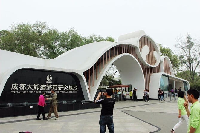 Private Chongqing Bullet Train Trip to Leshan Giant Buddha and Pandas in Chengdu - What We Appreciate About This Tour