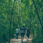 Private Chu Chi VIP Tour By Car ( 6 hours ) - The Sum Up