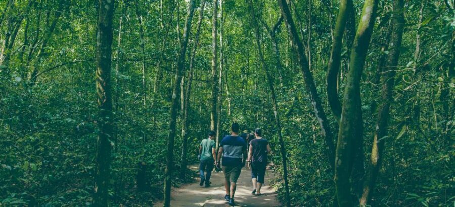 Private Chu Chi VIP Tour By Car ( 6 hours ) - The Sum Up