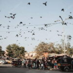 Private City Tour of Old Delhi With Rickshaw Ride - Who Will Love This Tour?
