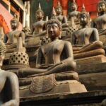 Private Colombo Half Day City Tour - What to Expect and Why It Matters