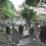 Private colonial Cemeteries tour - Who Should Consider This Tour?