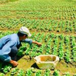 Private Countryside Tour Nha Trang And Visit An Orphanage - Who Will Enjoy This Tour?