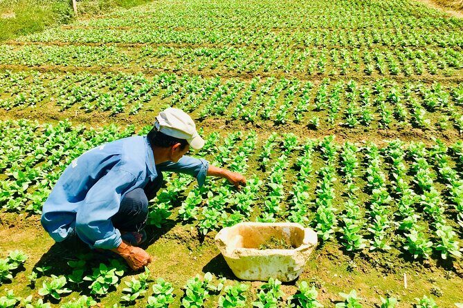 Private Countryside Tour Nha Trang And Visit An Orphanage - Who Will Enjoy This Tour?