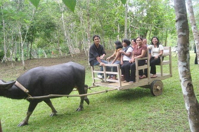 Private Countryside with Buffalo Cart tour - Half Day - The Experience: What Youll Love