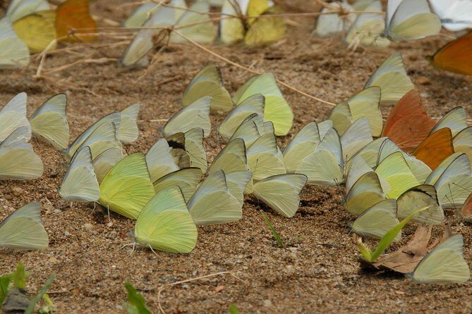 Private Cuc Phuong National Park Day Trip - Transport, Price, and Value