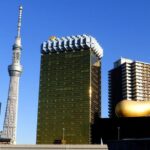 Private Custom Tokyo Tour VIP - How It Compares to Other Options