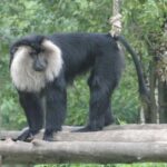 Private Custom Tour: Coorg Sightseeing with return hotel transfer - Practical Details and What It Means for You