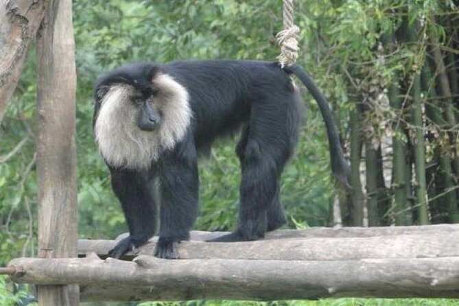 Private Custom Tour: Coorg Sightseeing with return hotel transfer - Practical Details and What It Means for You