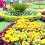 Private Custom Tour: Ooty Sightseeing with Guide - Travel Experience and Practicalities