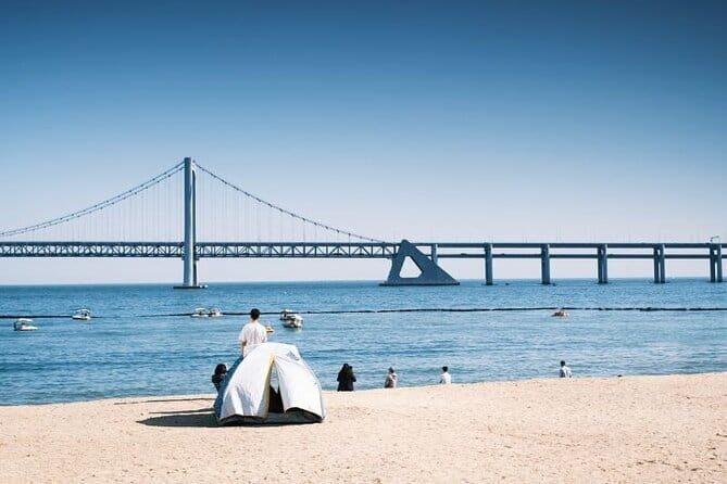 Private Custom Tour with a Local Guide Busan - Breaking Down the Itinerary