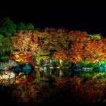 Private Customize Tour Himeji from Osaka - How the Tour Works in Practice