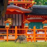 Private Customized 3 Full Days Tour Package: Discover Kyoto, Arashiyama and Nara - Final Thoughts