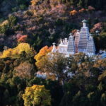 Private Customized Beijing Garden Tour - The Itinerary: What Makes Each Garden Special?