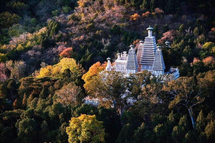 Private Customized Beijing Garden Tour - The Itinerary: What Makes Each Garden Special?