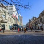 Private Customized Harbin City Day Tour by Public Transportation - Authentic Experiences Highlighted by Travelers