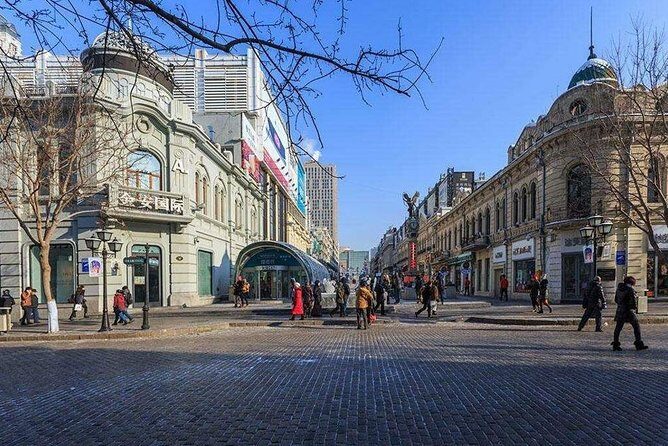 Private Customized Harbin City Day Tour by Public Transportation - Authentic Experiences Highlighted by Travelers