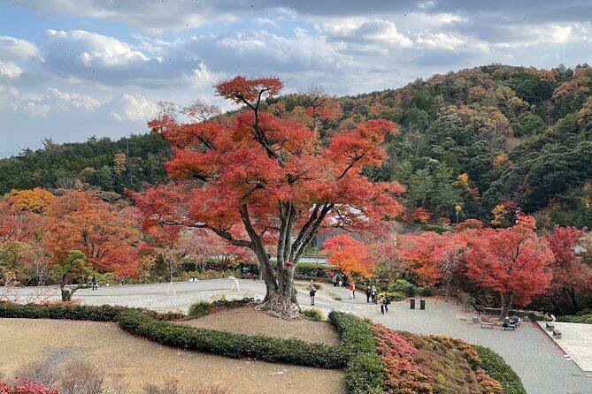 Private & Customized - Kansai Cycle tour - Authentic Experiences and What Travelers Say