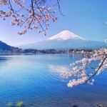 Private Customized Tour in Mount Fuji - Why This Tour Might Not Be for Everyone