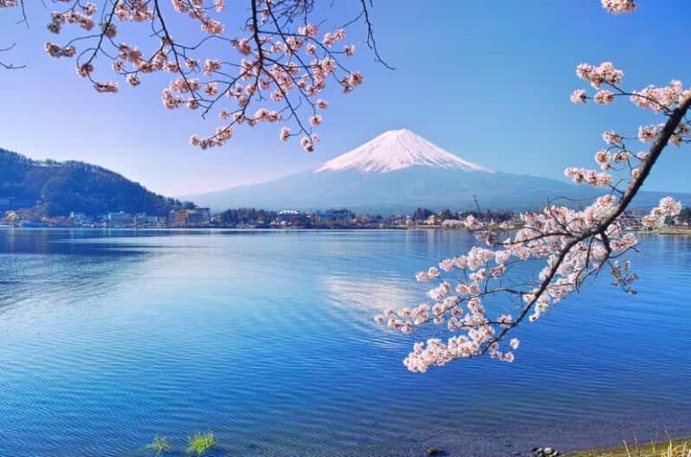 Private Customized Tour in Mount Fuji - Why This Tour Might Not Be for Everyone