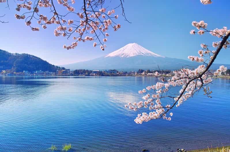 Private Customized Tour in Mount Fuji - Why This Tour Might Not Be for Everyone